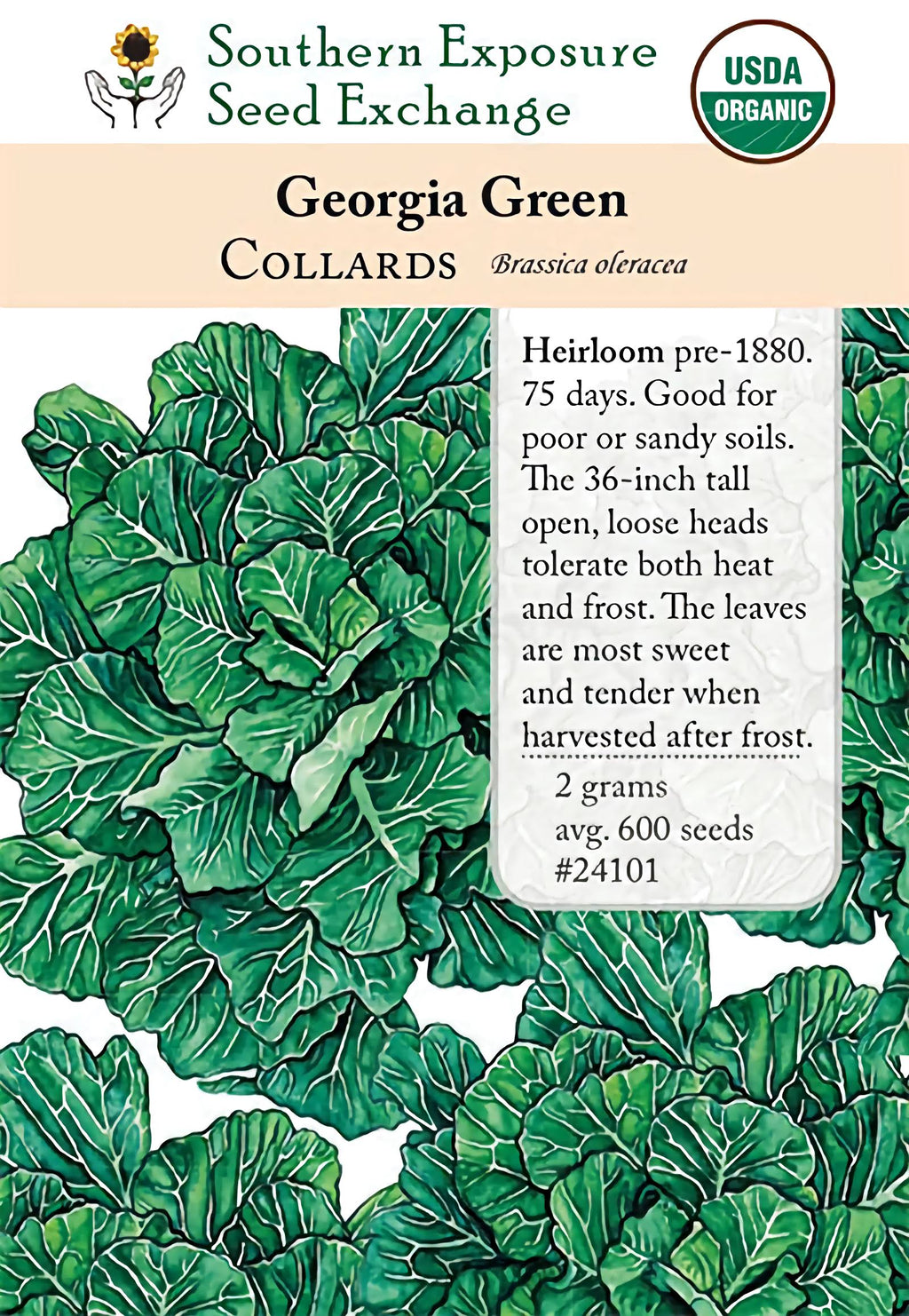 24101 - Georgia Green – Southern Exposure Seed Exchange - Wholesale