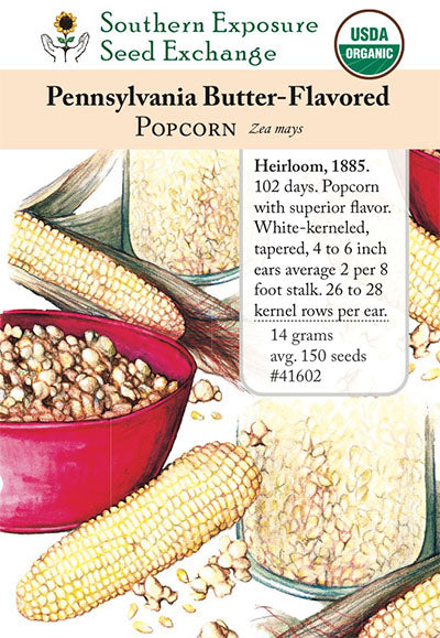 41602 - Pennsylvania Butter-Flavored – Southern Exposure Seed Exchange ...